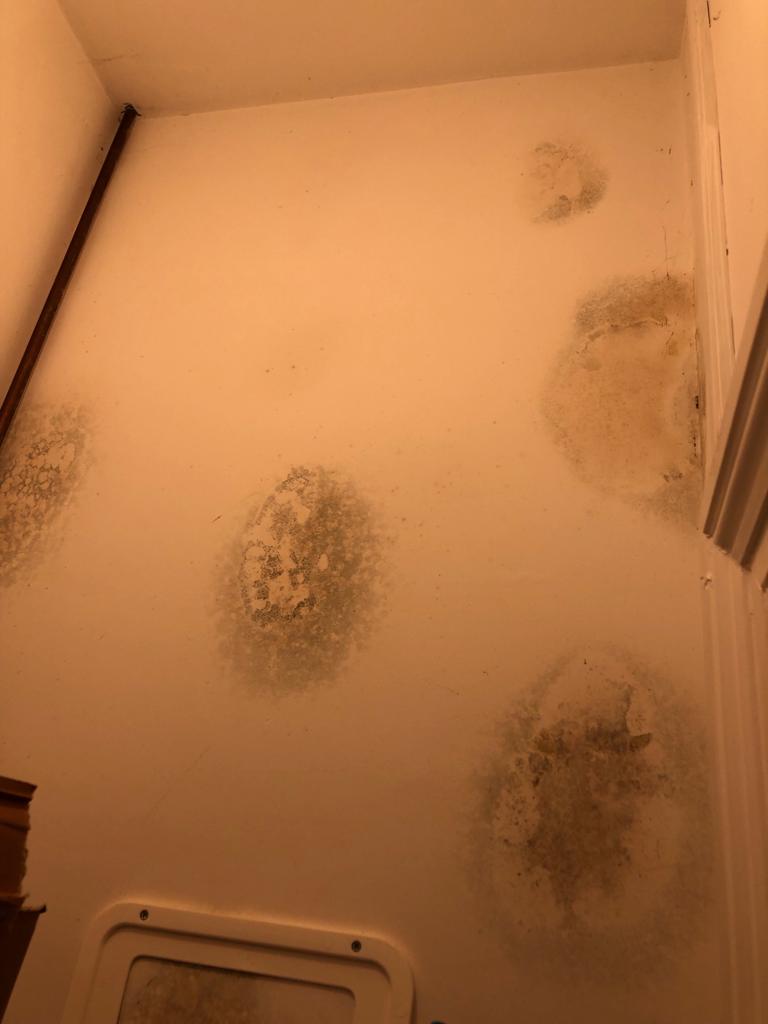 Damp Patches | DIYnot Forums