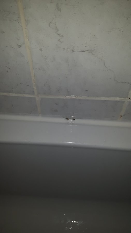 Leak coming from around my bath. | DIYnot Forums