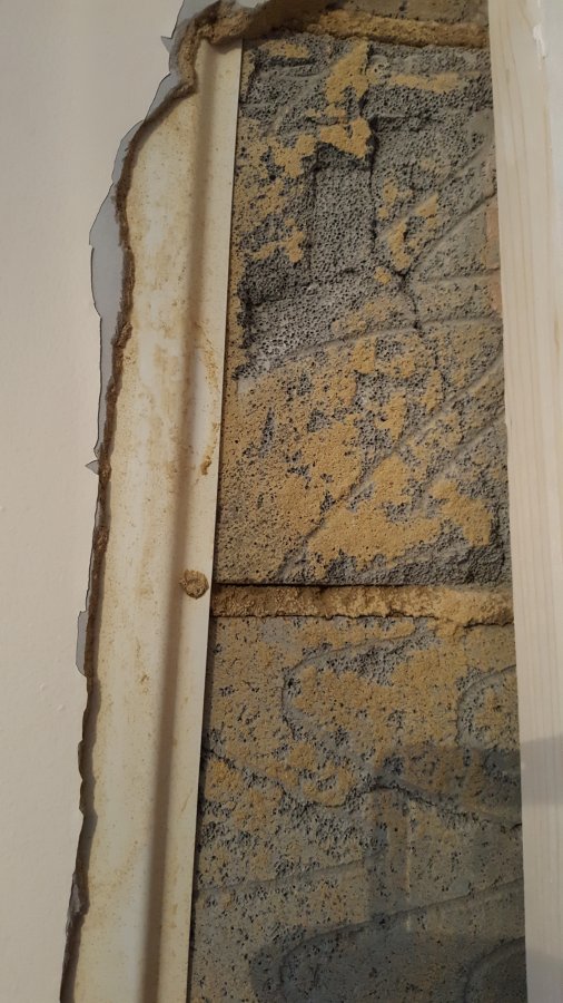 Plaster Advice please! | DIYnot Forums