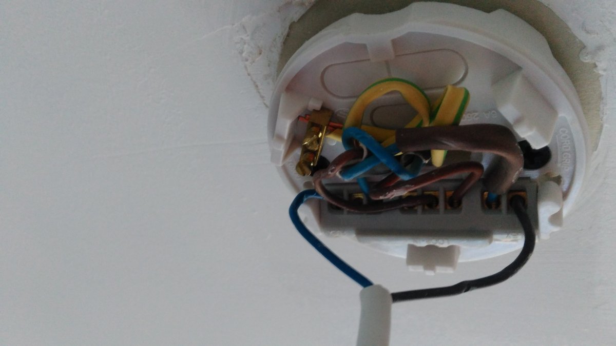 Traditional ceiling rose light | DIYnot Forums