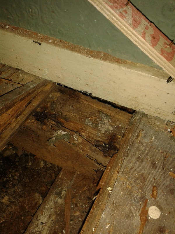 Repairs to lime render and plaster | Page 2 | DIYnot Forums