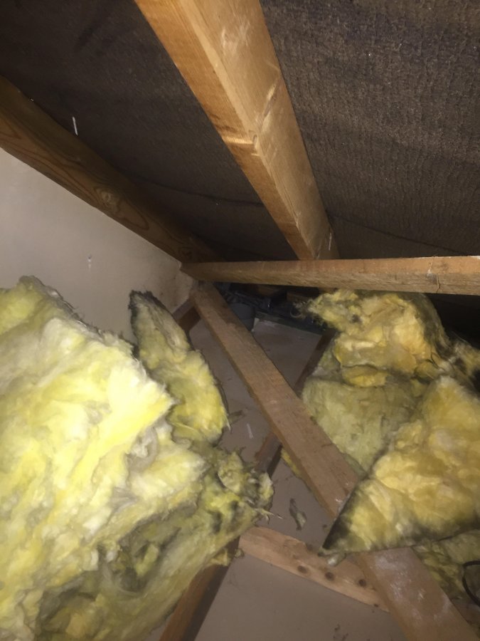 Open soil stack in loft | DIYnot Forums