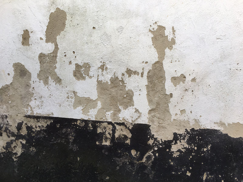 Render problem | DIYnot Forums