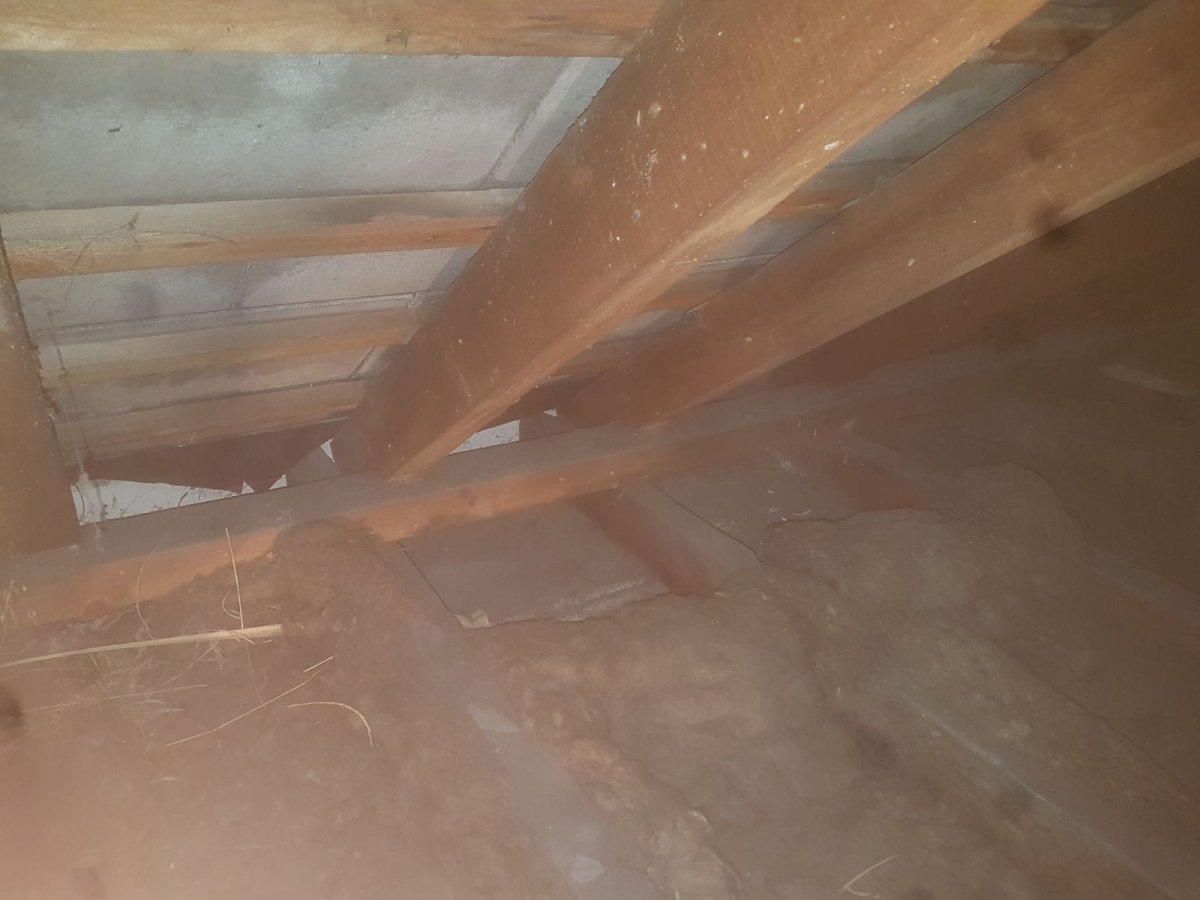 loft with unusual wall plate can I convert | DIYnot Forums