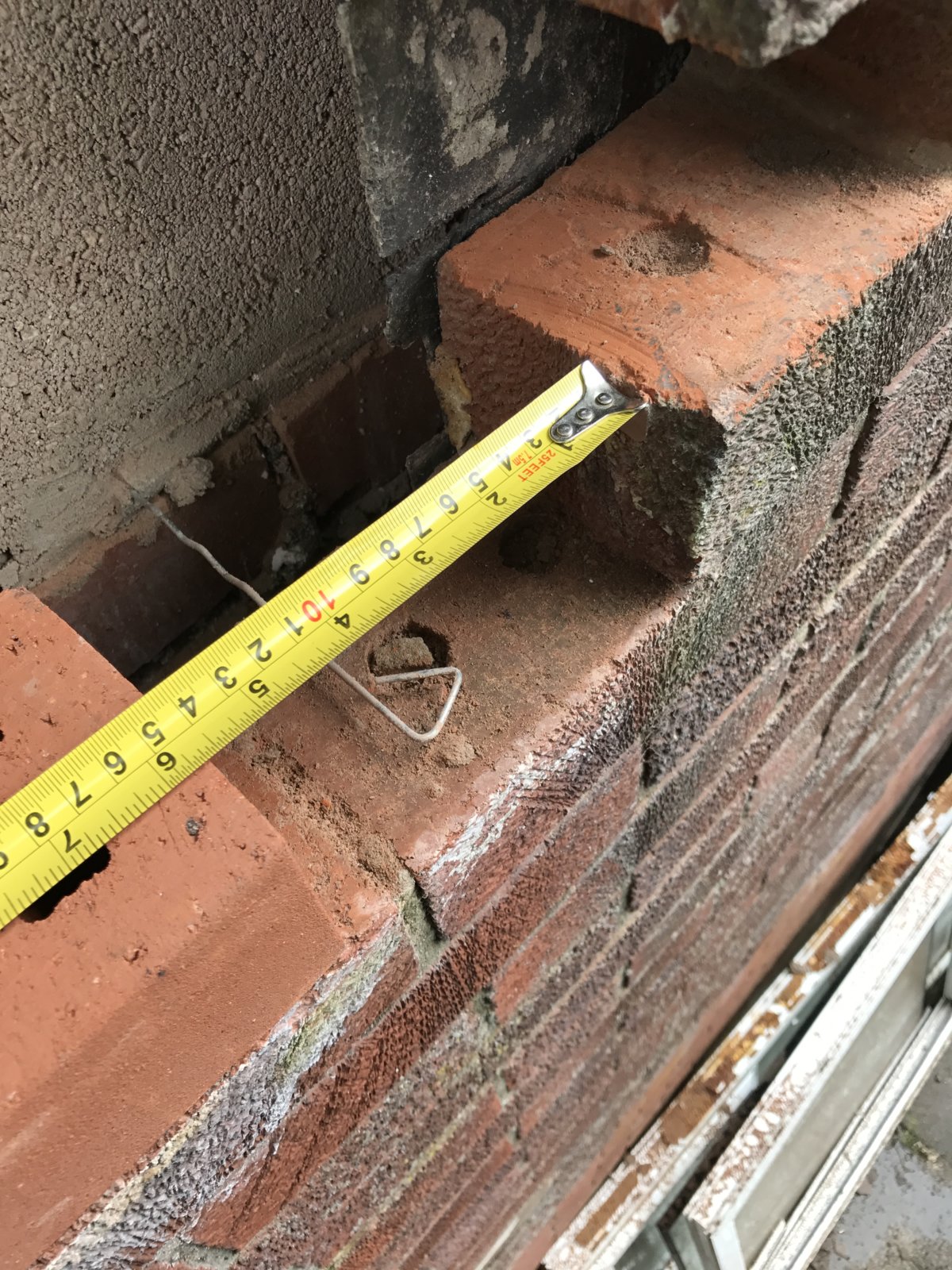 Large perps? | DIYnot Forums