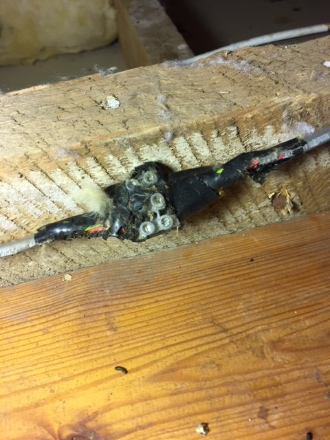 Unsafe wiring rodent damage | DIYnot Forums