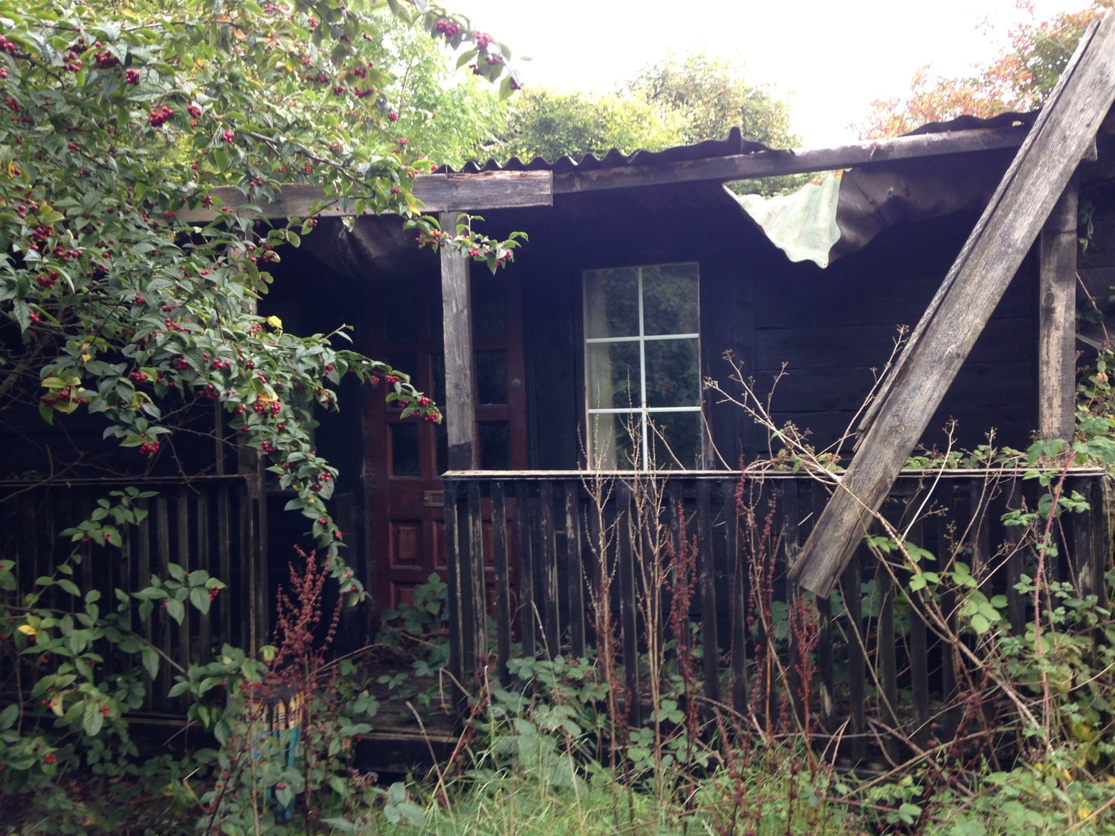 Log cabin/crack den refurb | DIYnot Forums