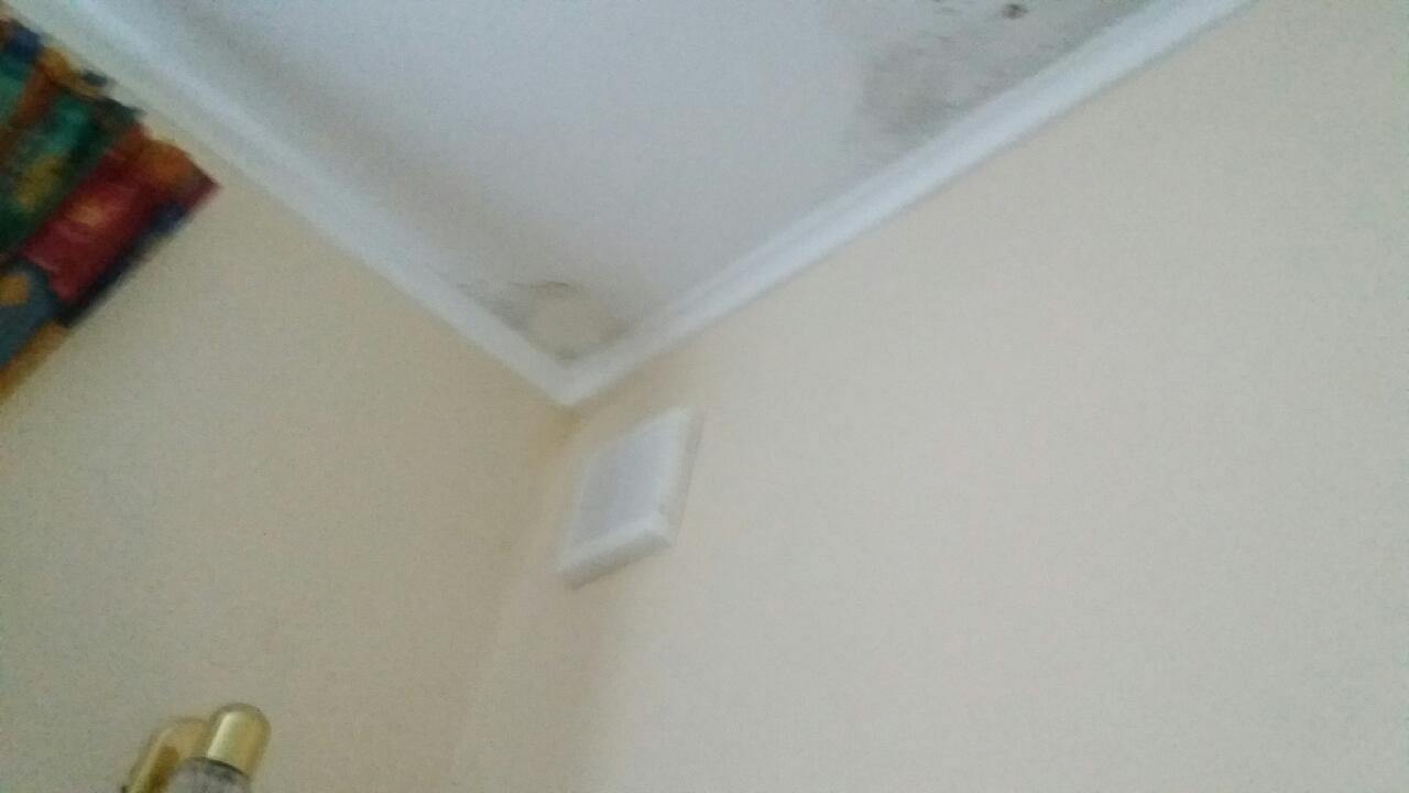 What's causing the damp in these photos? | DIYnot Forums