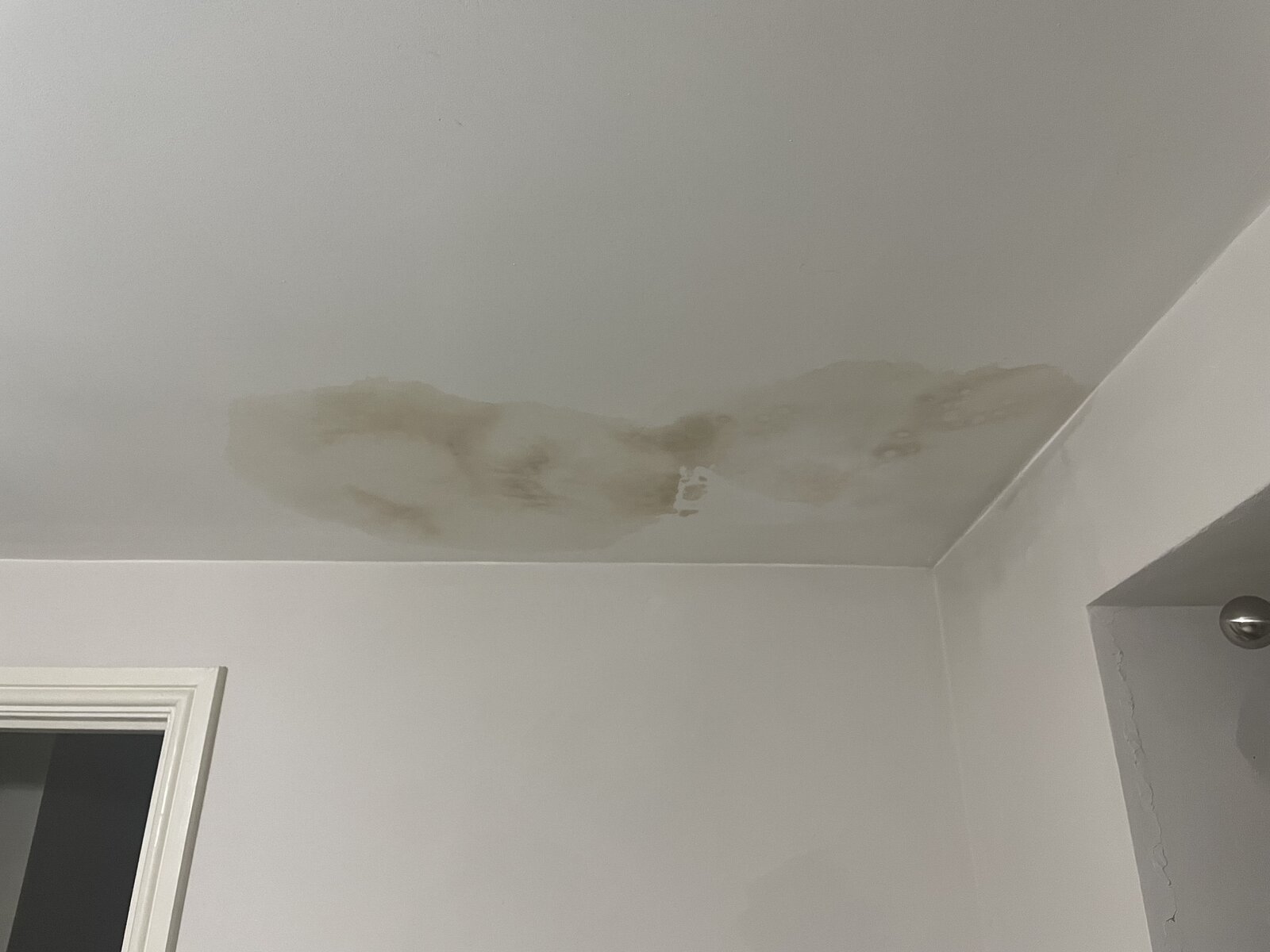 Expanding Damp Patch on Bedroom Ceiling | DIYnot Forums