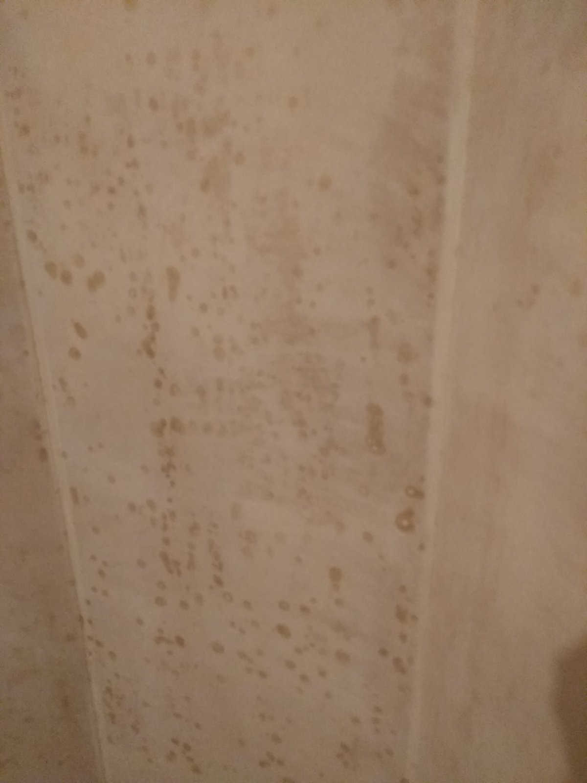 Why plaster looks like this? | DIYnot Forums