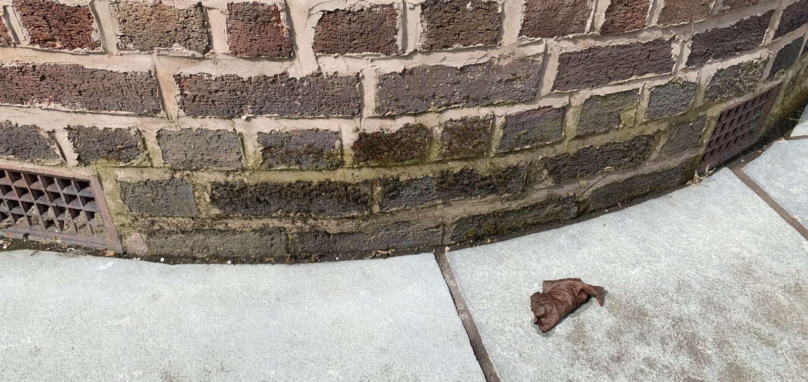 Damp proof course? | DIYnot Forums
