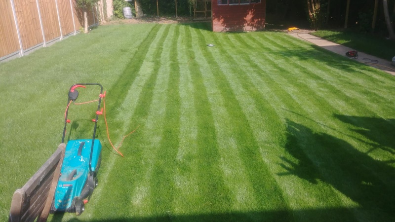 lawn in terrible shape | DIYnot Forums