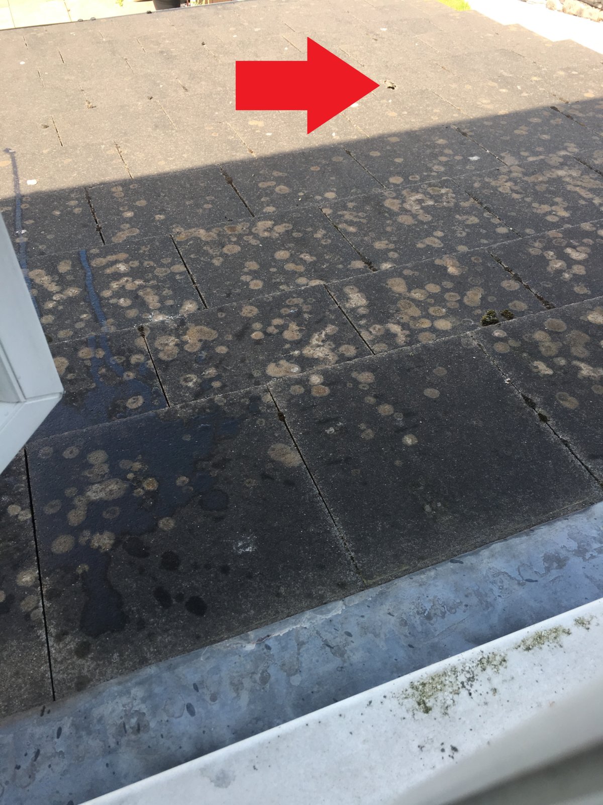 Holy tiles and moving lead work. | DIYnot Forums