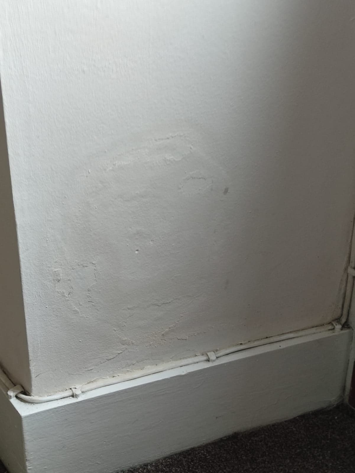 damp patch on wall | DIYnot Forums