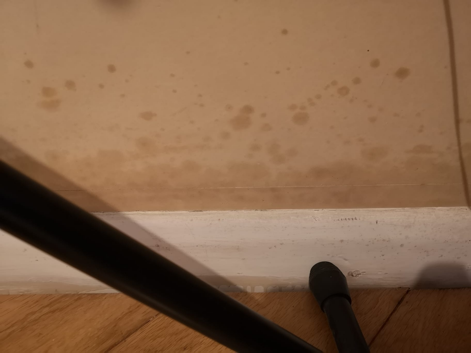 Damp patch at foot of external wall (ed.) | DIYnot Forums