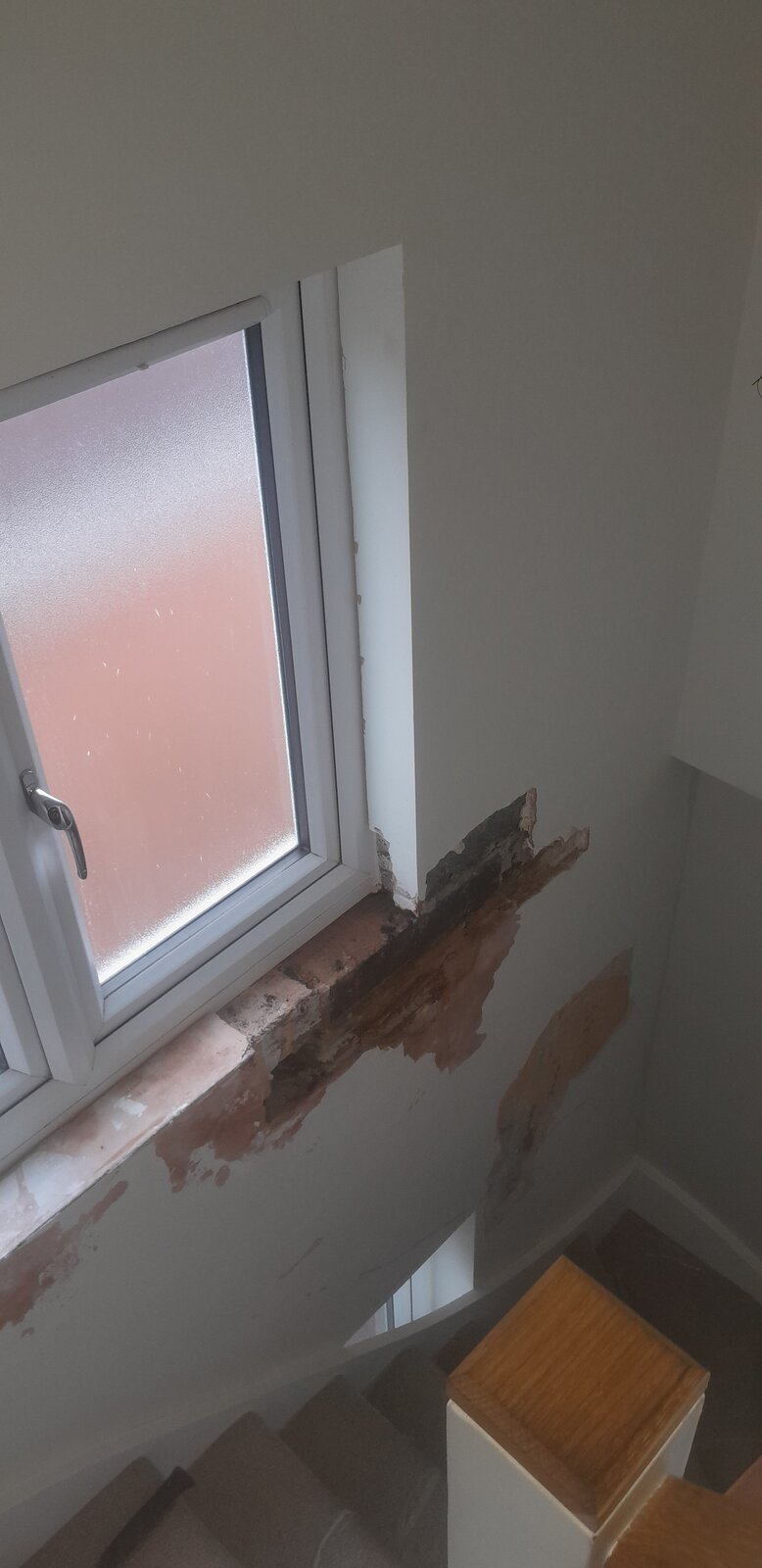 Damp patches under window (Ed.) | DIYnot Forums