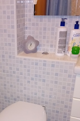 Flush Valve... | DIYnot Forums