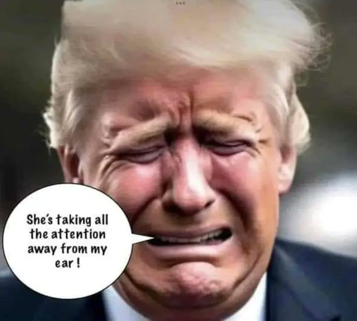 Can Kamala Harris win? | Page 4 | DIYnot Forums