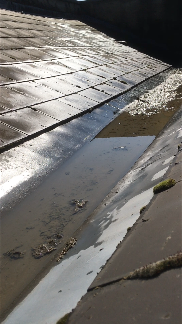 Leaking butterfly/inverted pitch roof | DIYnot Forums