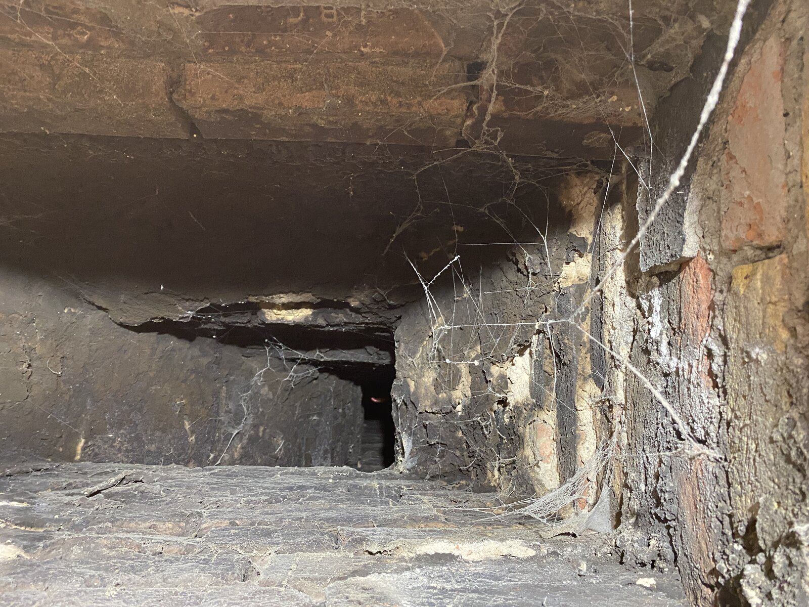 Wet/Dry Rot Hyphae in Chimney? | DIYnot Forums