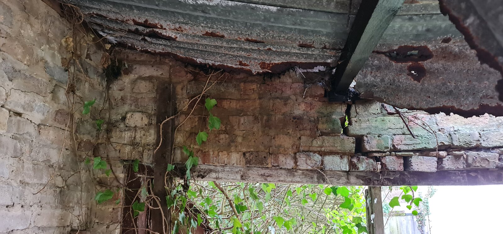Old Brick Outbuilding - can it be saved? | DIYnot Forums