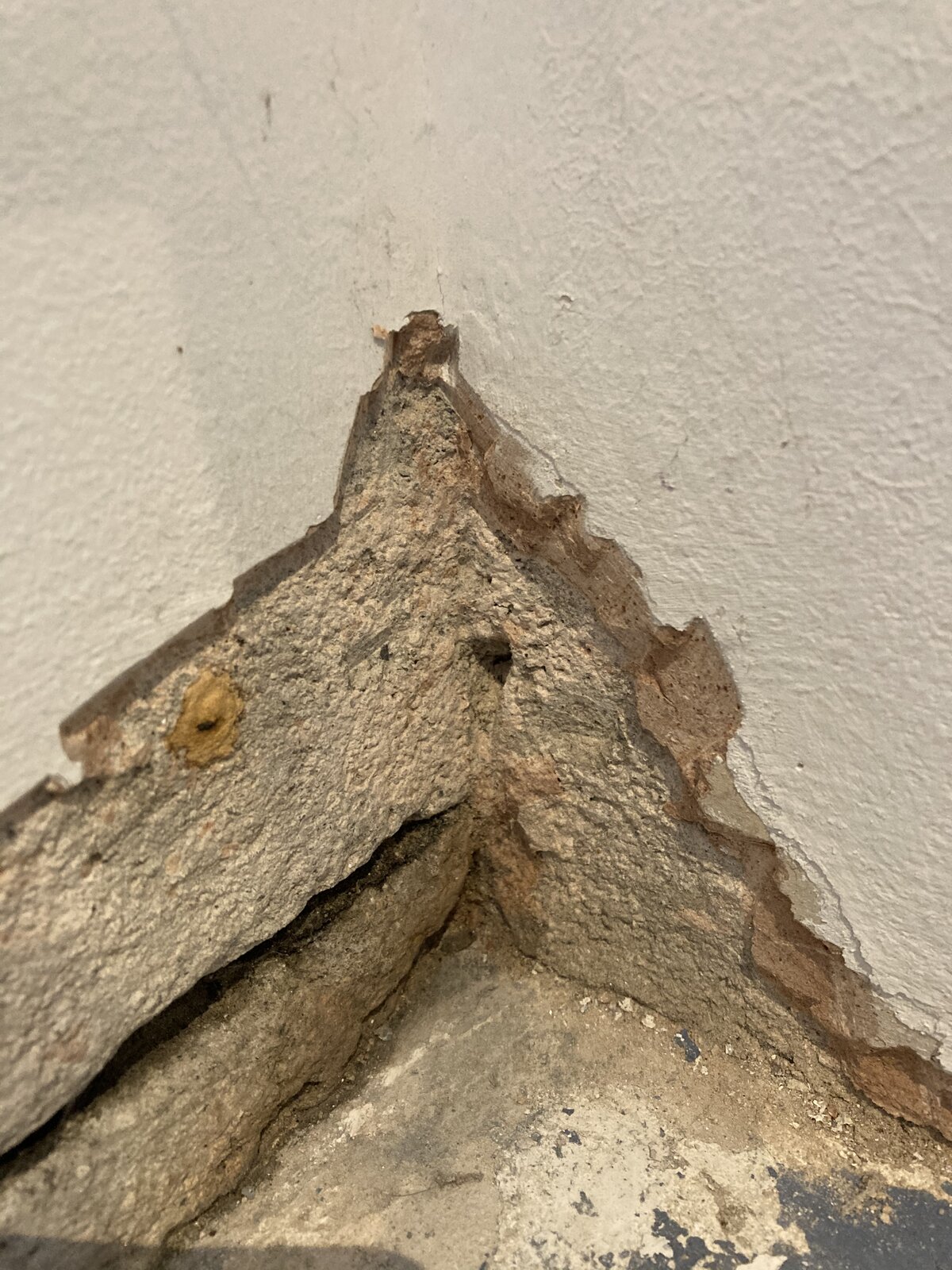 Damp course query | DIYnot Forums