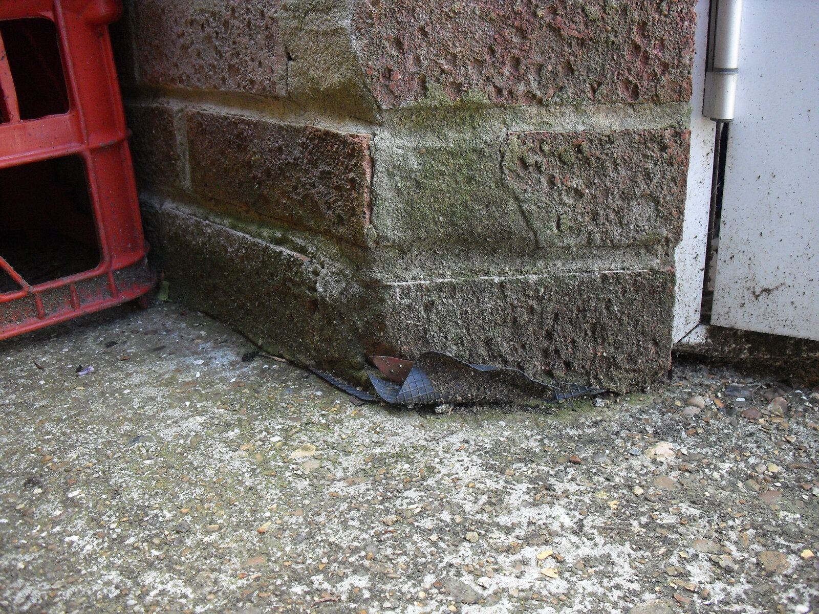 Damp course fail. | DIYnot Forums