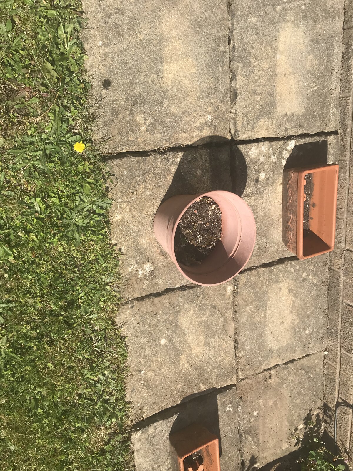 Using repair and pointing mortar | DIYnot Forums