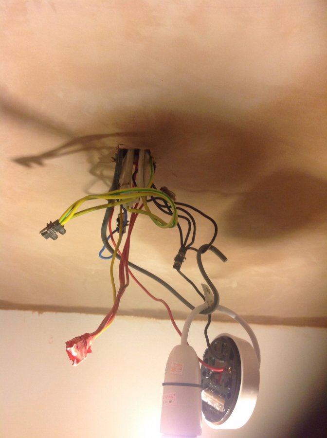 How to get multiple cables in light fitting | DIYnot Forums