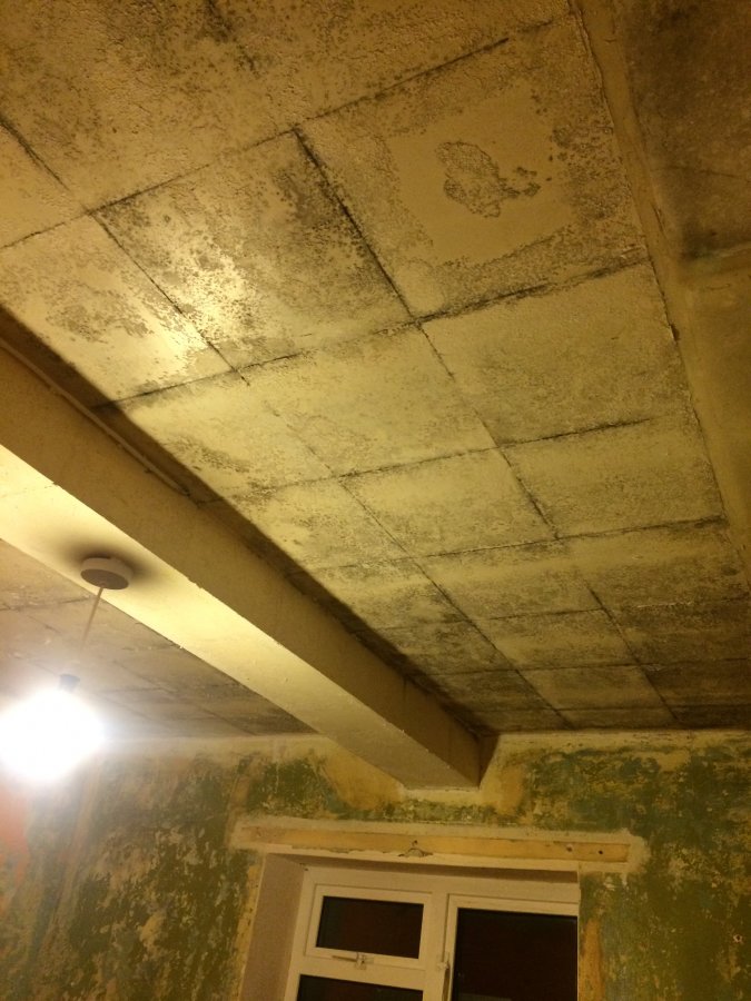 False ceiling build and insulated. | DIYnot Forums
