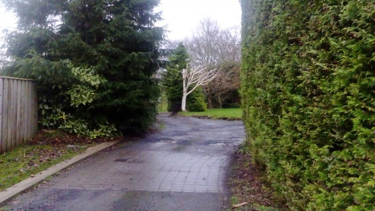 Driveway Drainage Problems