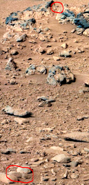 Coca Cola can on Mars !!!!! | DIYnot Forums