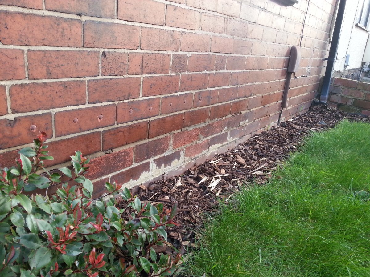 Pointing and painting | DIYnot Forums