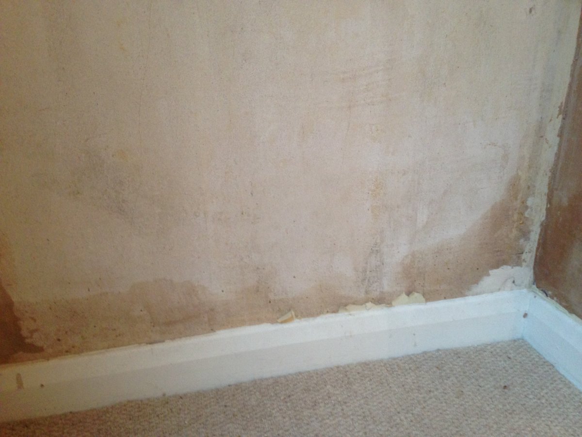 Damp at skirting level (moved from General) | DIYnot Forums