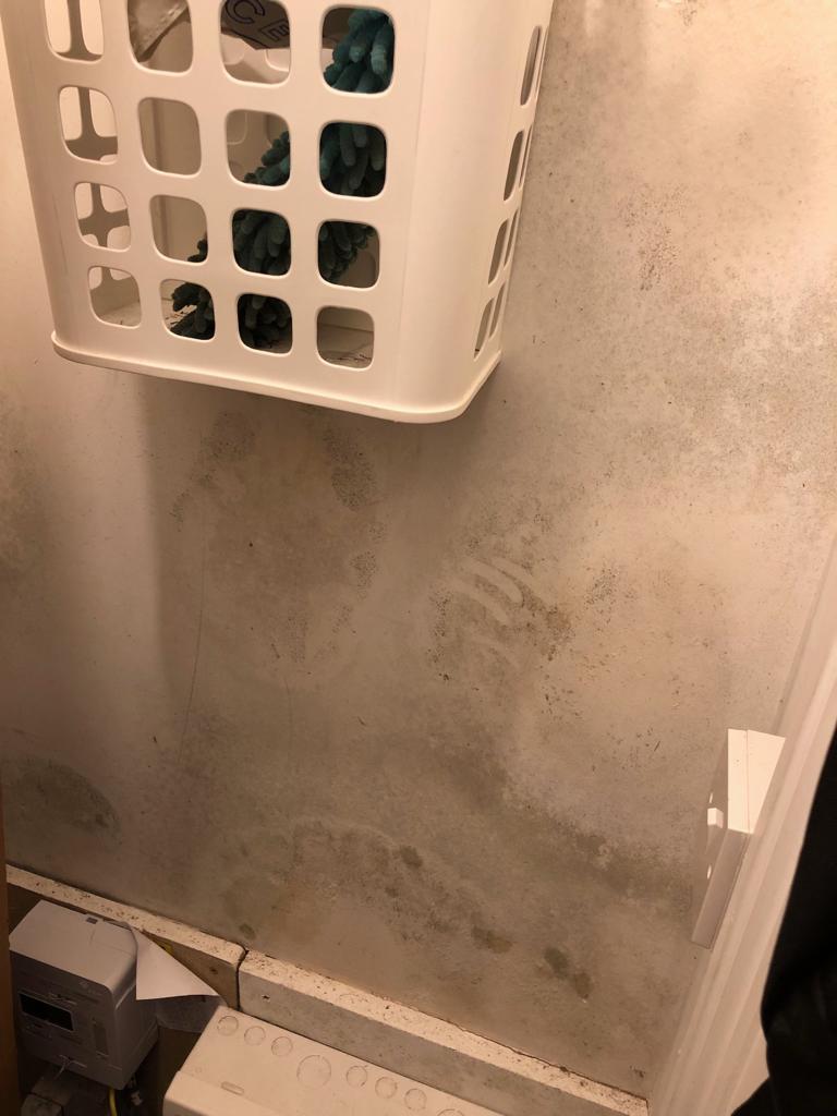 Damp Patches DIYnot Forums