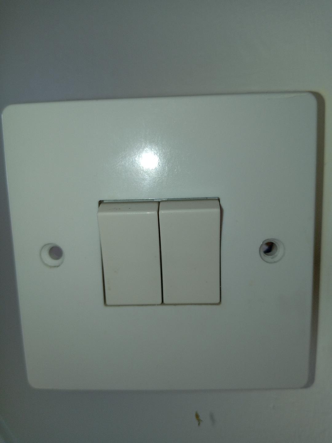 Swapping light switch | DIYnot Forums