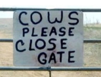 Silly Signs | DIYnot Forums