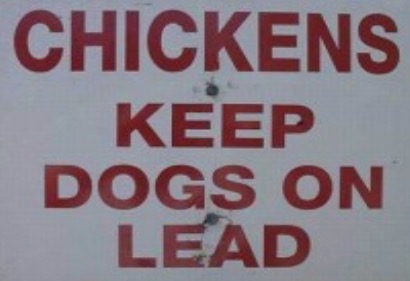 Silly Signs | DIYnot Forums