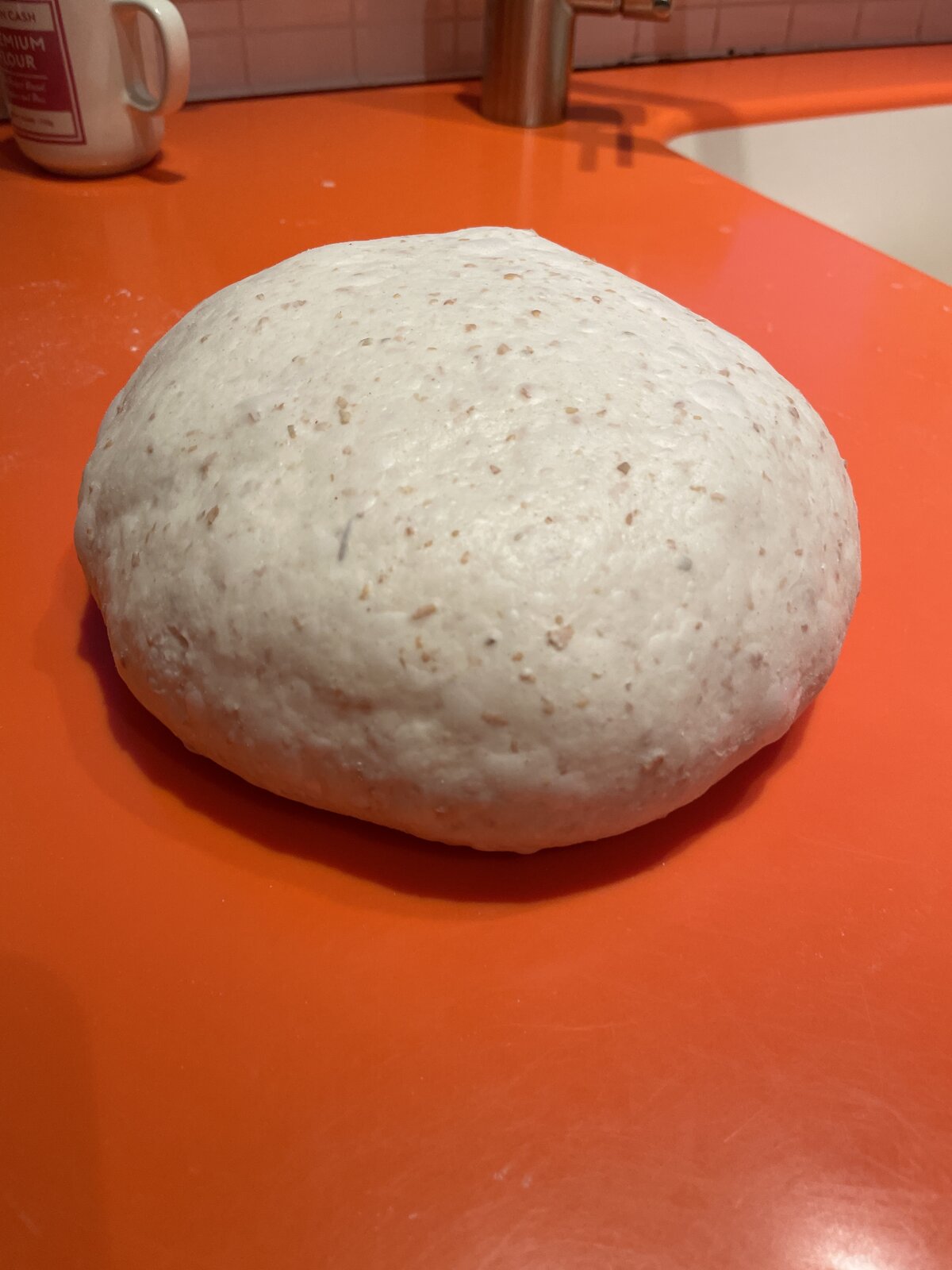 Sour dough bread | Page 4 | DIYnot Forums
