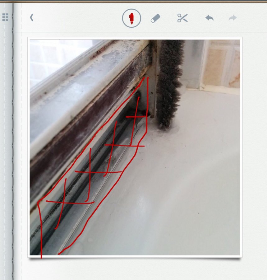 Water Damage due to shower door. How to repair? | DIYnot Forums