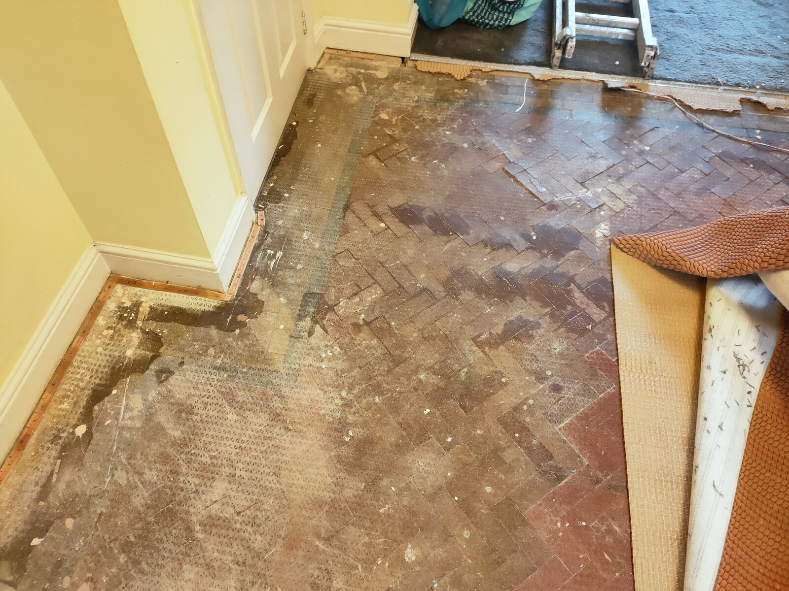 Damp issues | DIYnot Forums