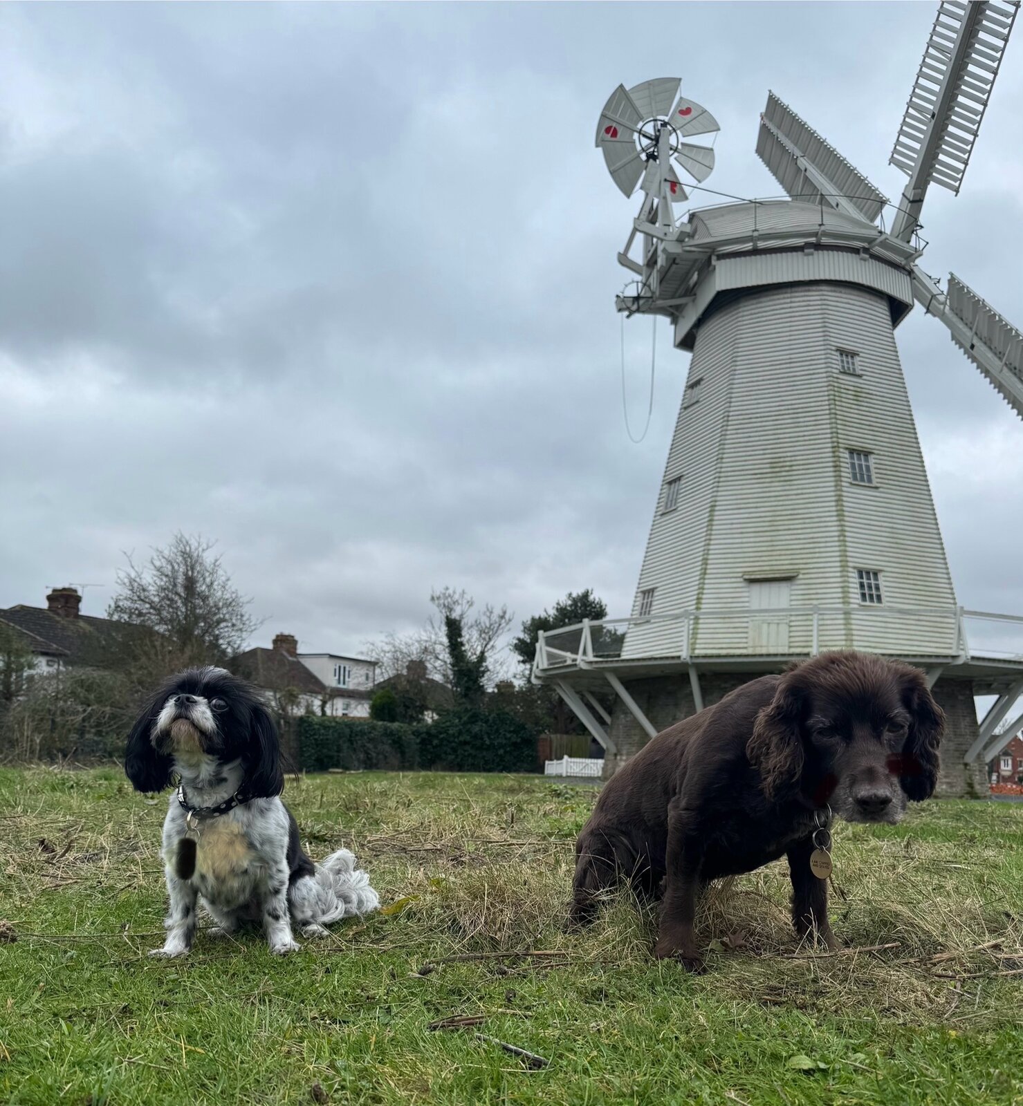 What have you been doing today? | Page 578 | DIYnot Forums