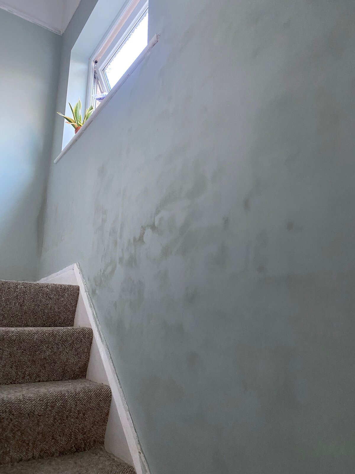 Damp Patches on Entire Wall | DIYnot Forums