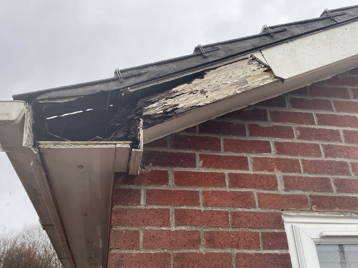 Repair cost? | DIYnot Forums