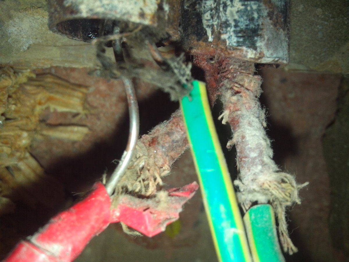 Nightmare | DIYnot Forums