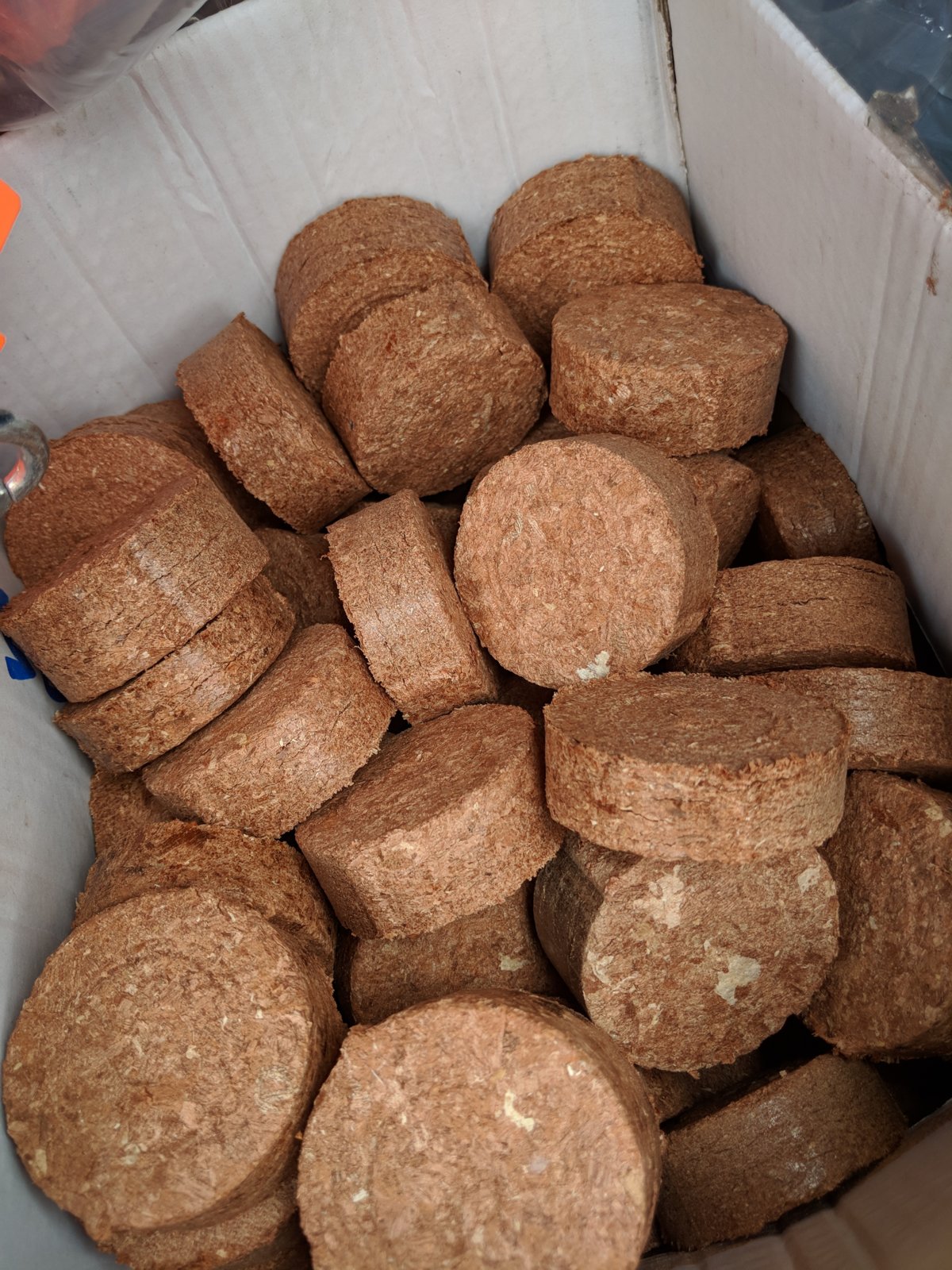 Wood Capsule/Pellet identification | DIYnot Forums