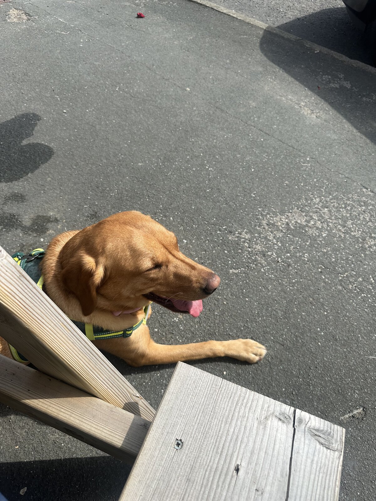 Filey | Page 4 | DIYnot Forums