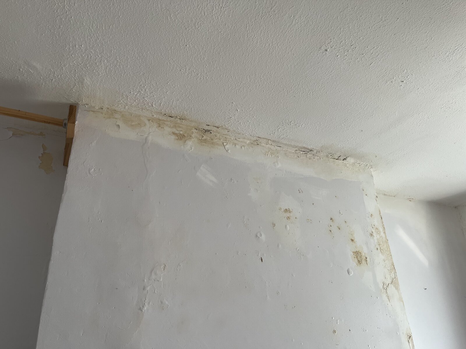 Damp on Chimney Breast | DIYnot Forums