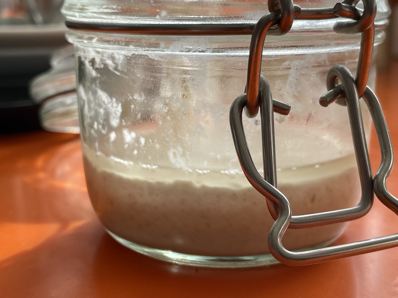 Sour dough bread | Page 4 | DIYnot Forums