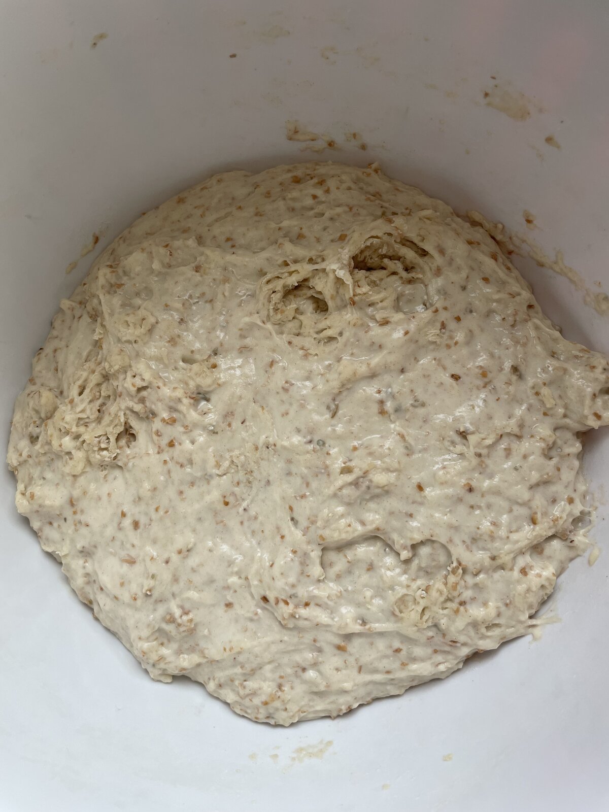 Sour dough bread | Page 4 | DIYnot Forums